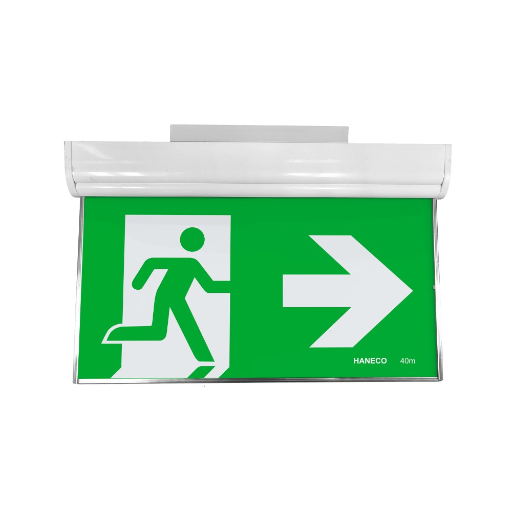 Haneco ESODO Edge Jumbo Surface Mount Exit 40m